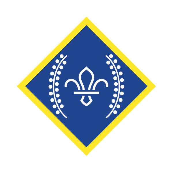 Network / Explorers Chief Scout's Platinum Award Badge | Project X ...