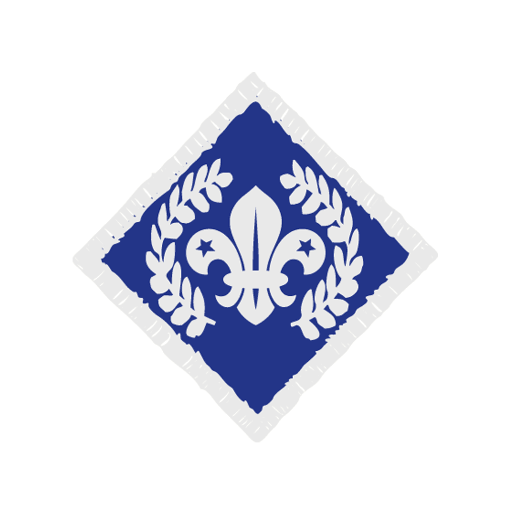 Network / Explorers Chief Scout's Diamond Award Badge | Project X ...