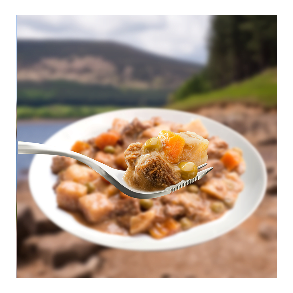 Wayfayrer Steak And Vegetables | Project X Adventures